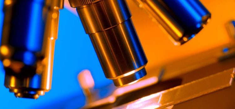 Mecoil, Oil Analysis Specialist – Innovation and Research for your ...